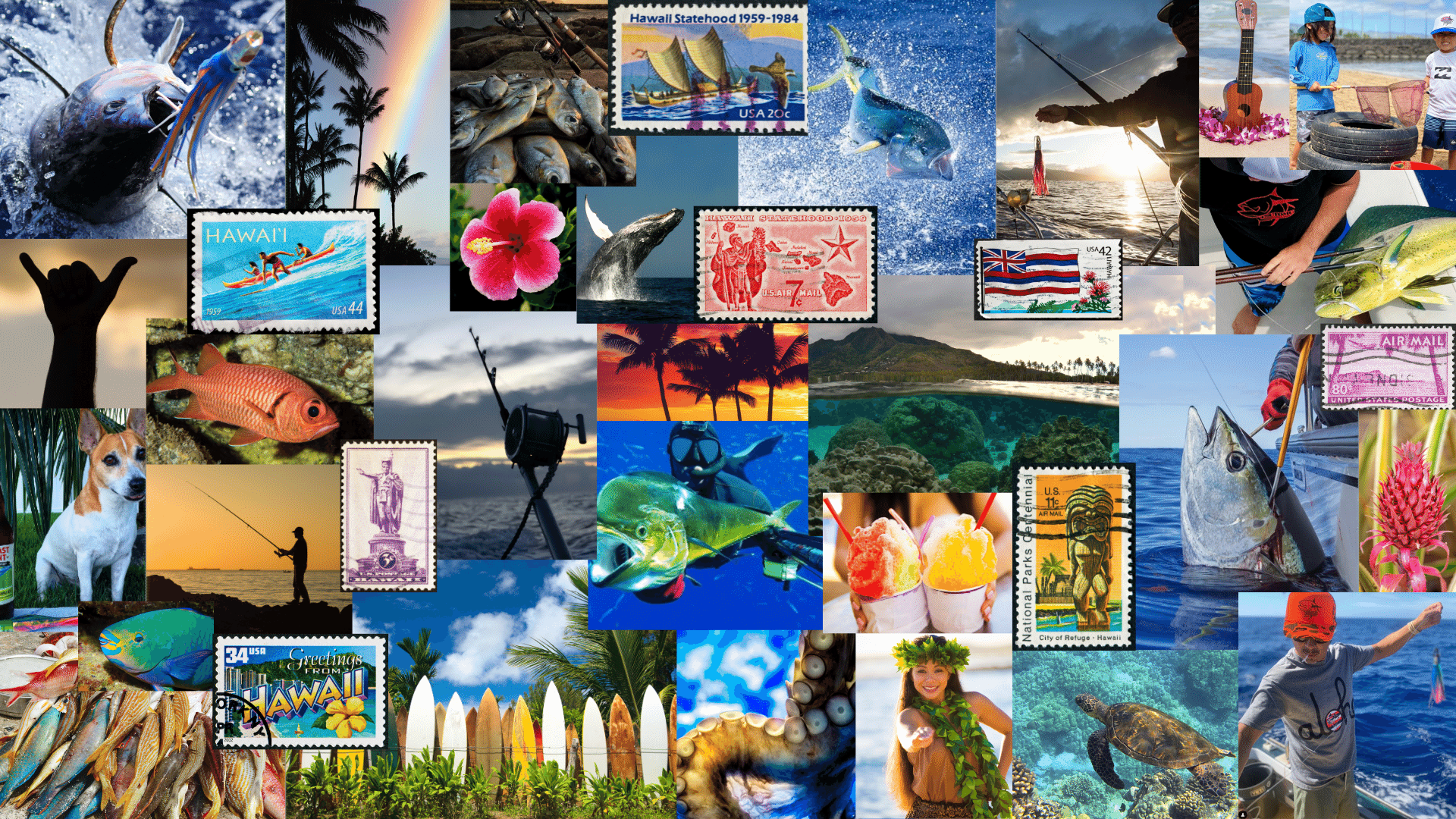 Hawaiian Fishing Co. – Shaka Tackle Co.